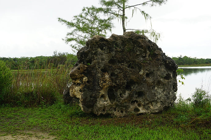 Boulder with Solution Holes