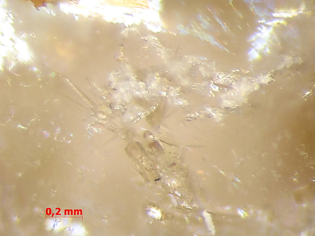 Thortveitite, Xenotime-(Y)