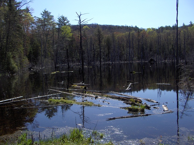 Ruby Mine, Ashby Township, Addington Highlands Township, Lennox and ...