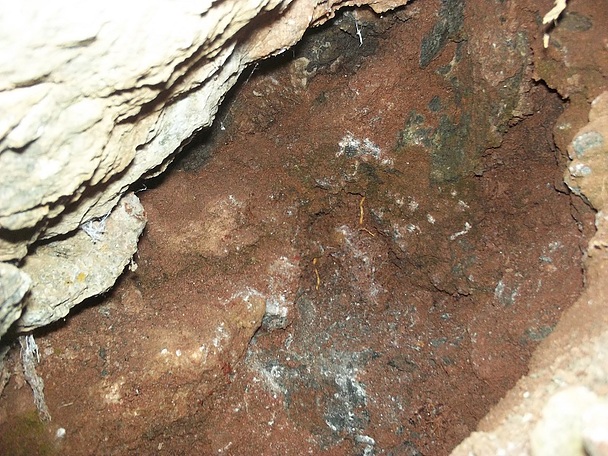 07219930017272029187873.jpg?cachekick=1