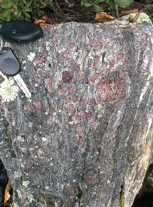 Garnet Group from Fishtail Lake occurrence, Harcourt Township, Dysart ...