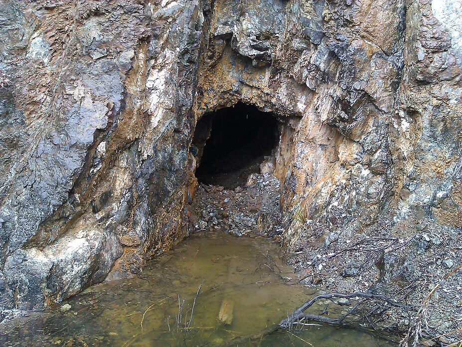 Caudrys prospect, Bald Hill osmiridium field, Heazlewood district ...