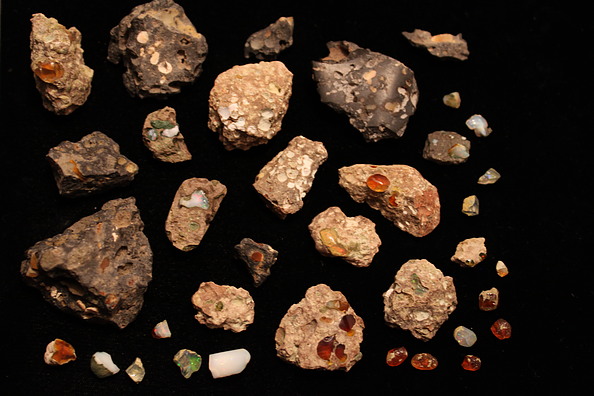 02191770017362212708621.jpg?cachekick=1