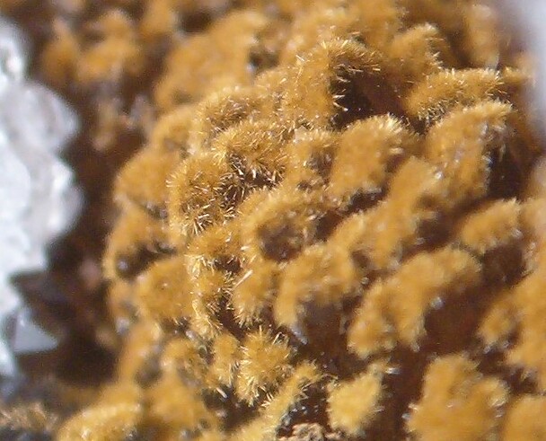 Wheal Edward, Botallack, St Just, Cornwall, England, UK