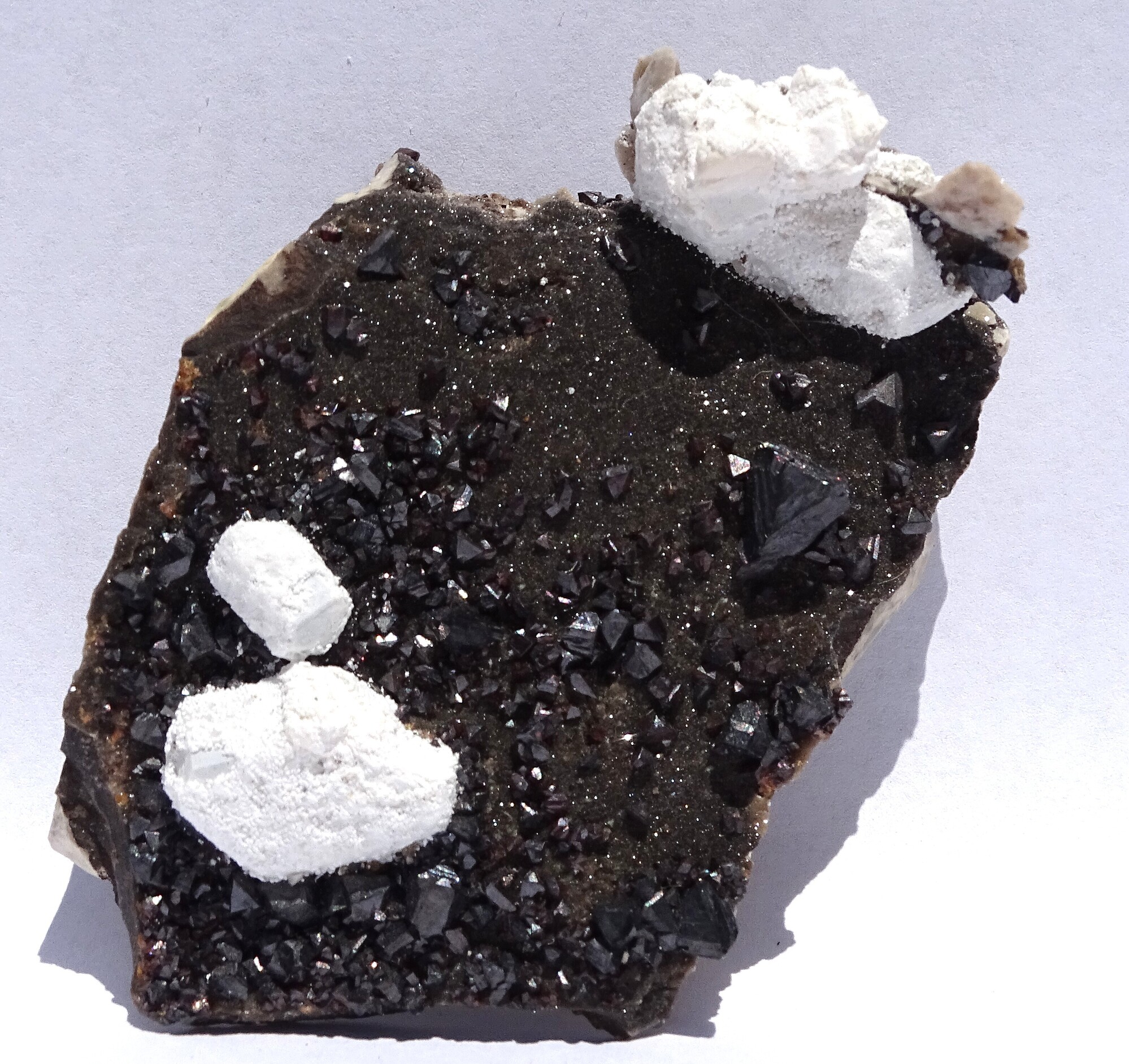 General : Show us your recent acquisitions - volume 17