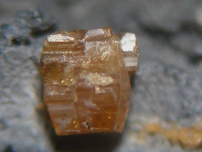 Sony Nex 7, bellows, Mitutoyo M Plan Apo 10x, aperture, Raynox DCR-250 ...