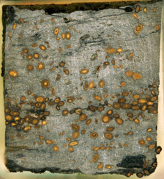 Ooid-ironstone: Mineral information, data and localities.