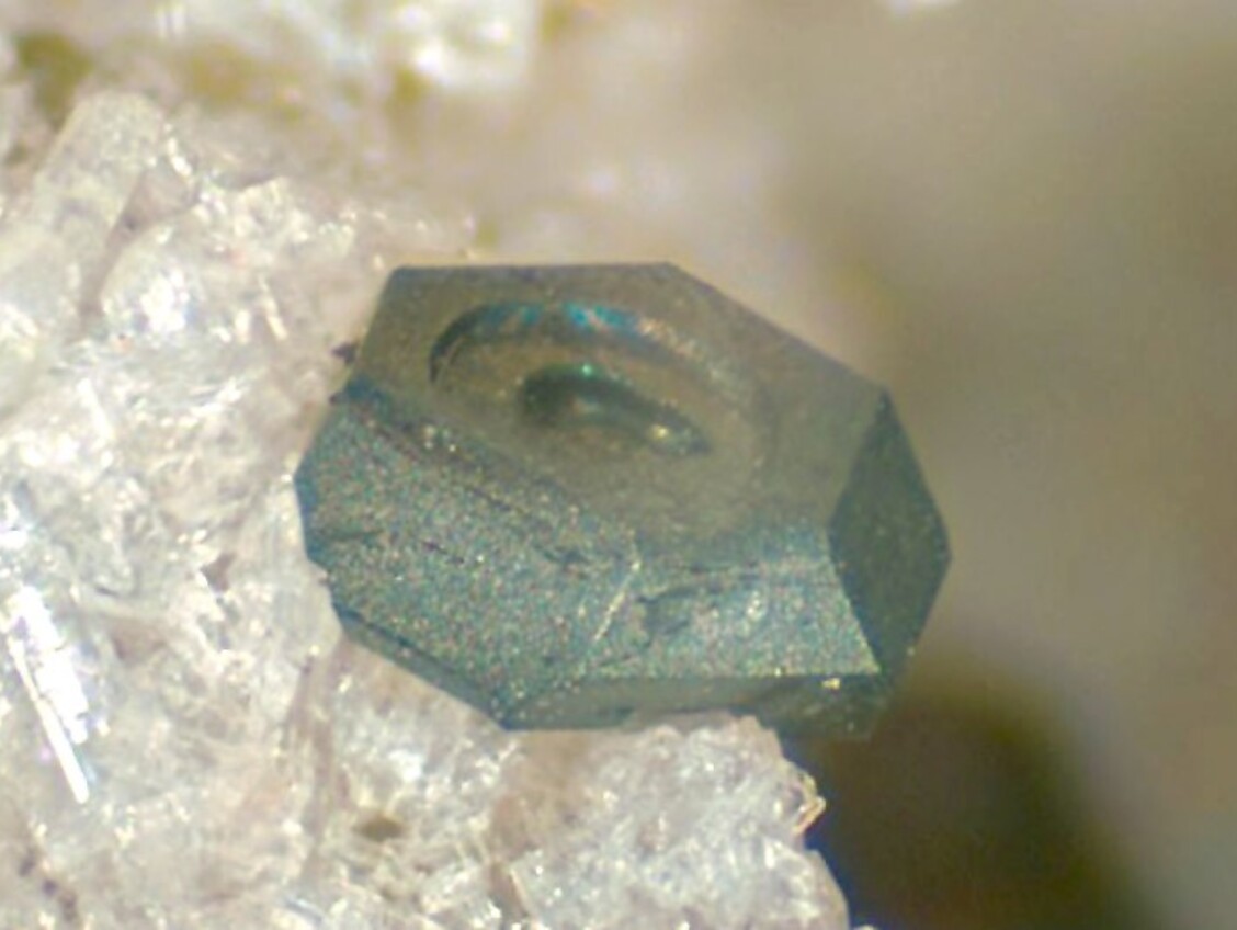 Rocca Predellara Quarry, Varsi, Parma Province, Emilia-Romagna, Italy