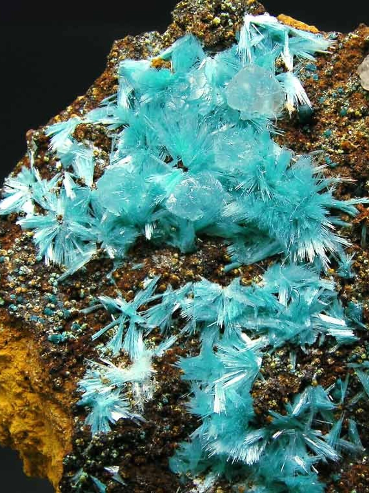 Very nice Aurichalcite.Field of view is 0,8 cm.