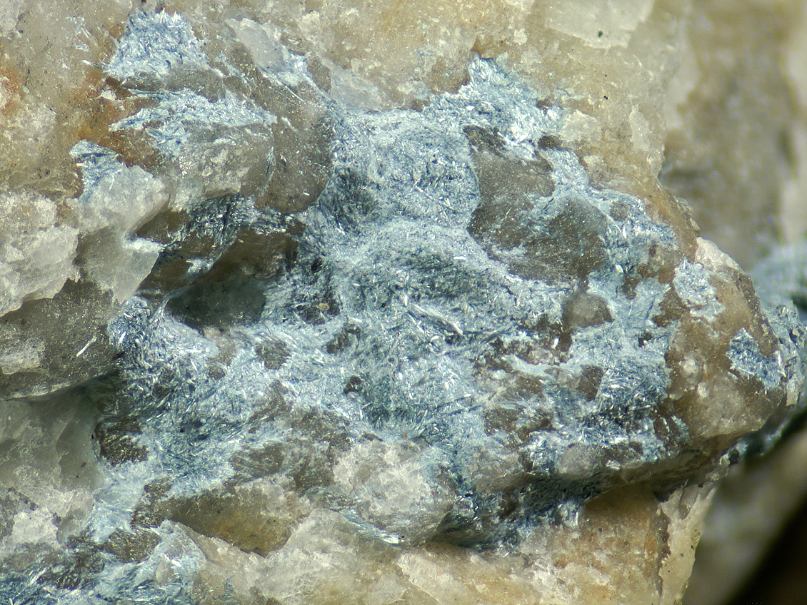 © 2009 Peter Cristofono