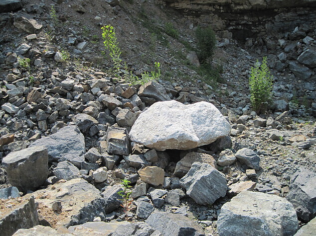 Lime Crest Quarry, Franklin Marble, Sparta Township, Sussex County, New ...