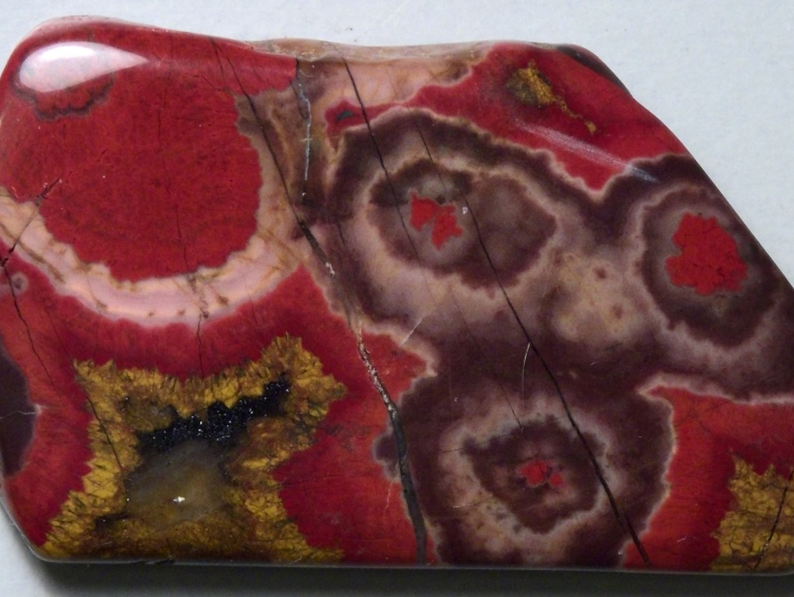 Orbicular Jasper