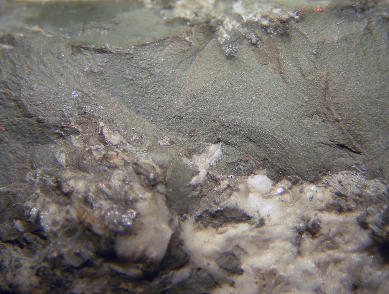 Minnesotaite: Mineral information, data and localities.