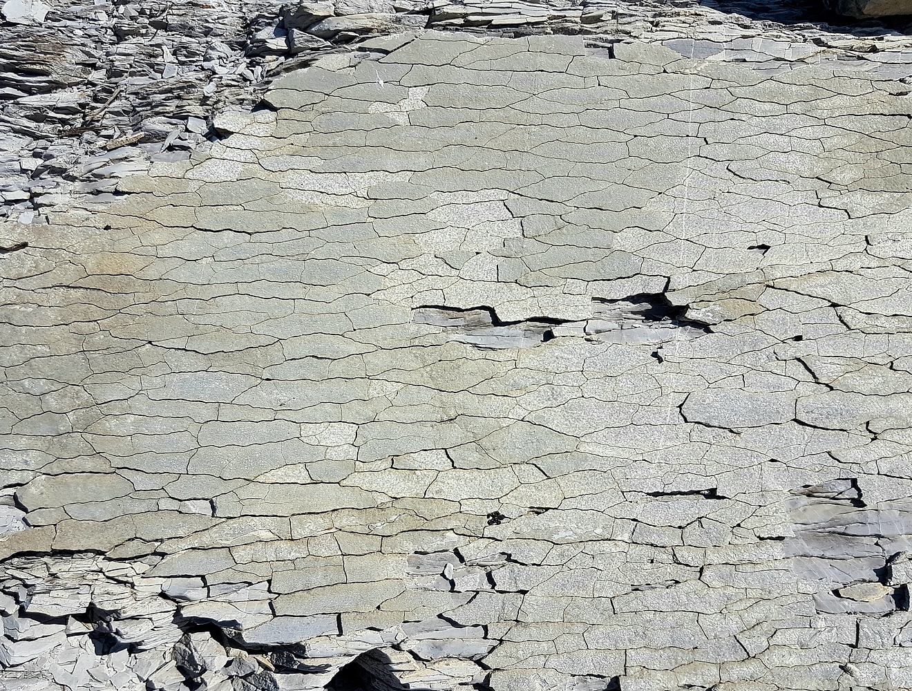 Siliclastic-sedimentary-rock: Mineral information, data and localities.