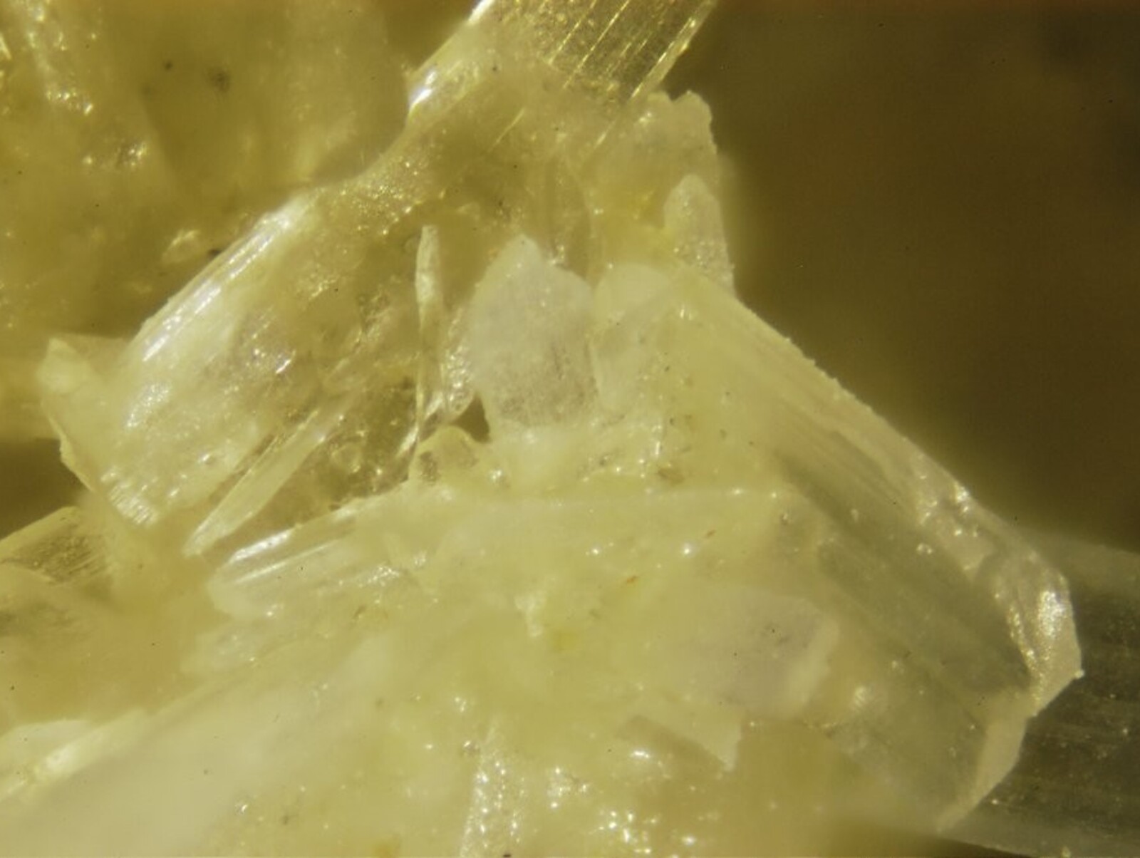 Boron, Kern County, California, USA