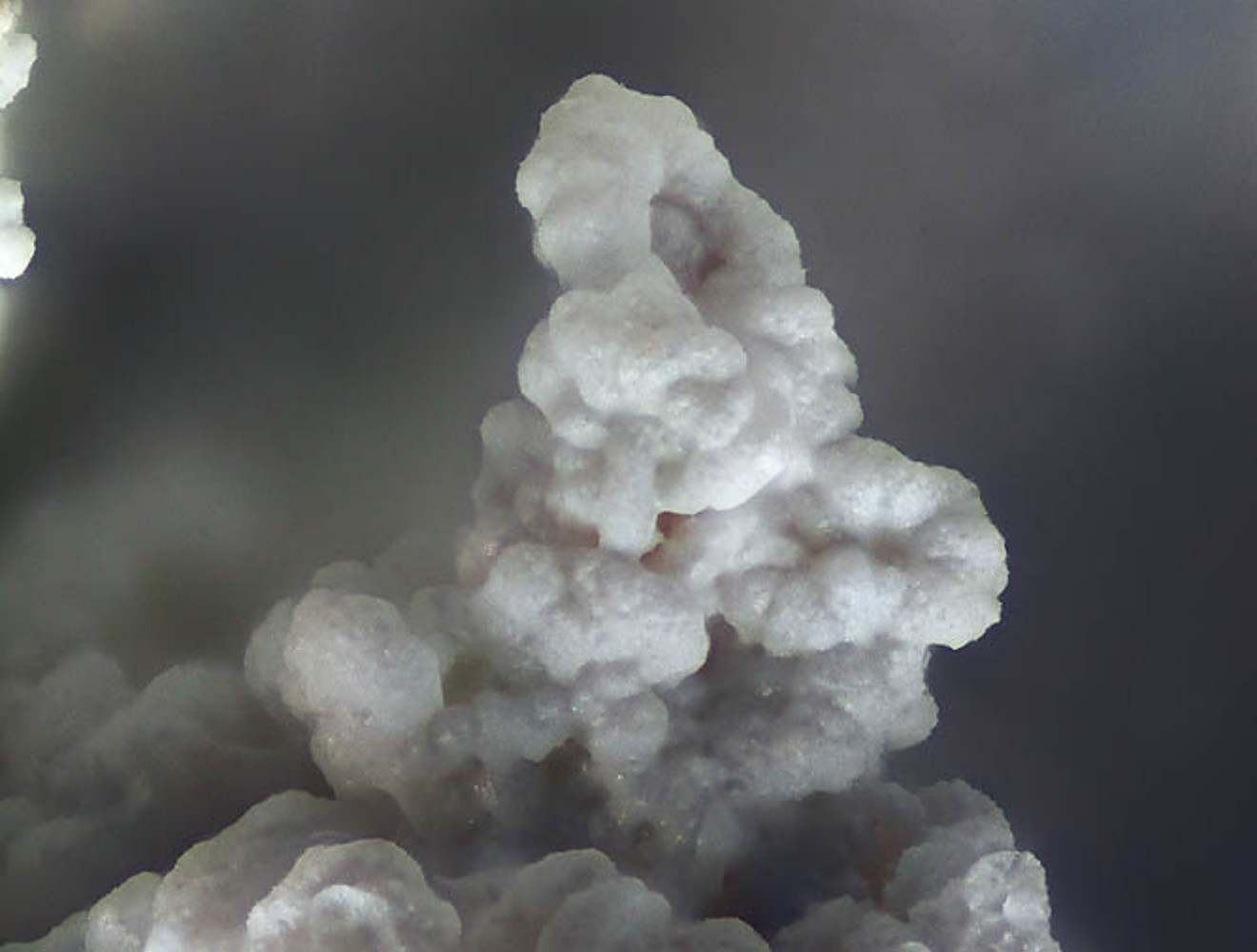 Halloysite: Mineral information, data and localities.