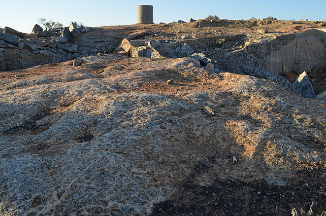 Boogardie Station, Mount Magnet Shire, Western Australia, Australia