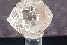 Education : Chert/chalcedony thin sections