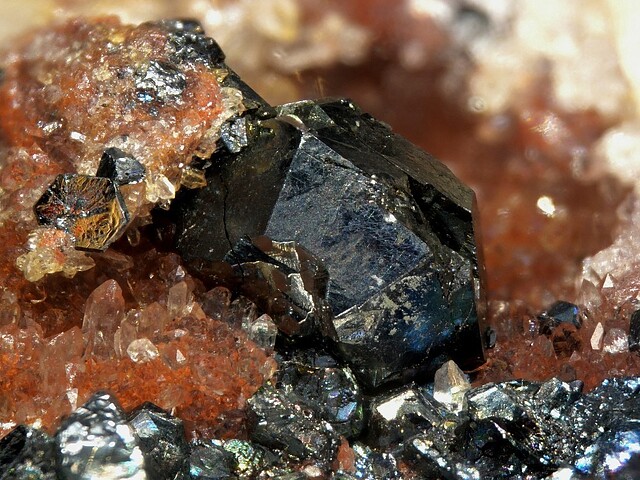 Bornite