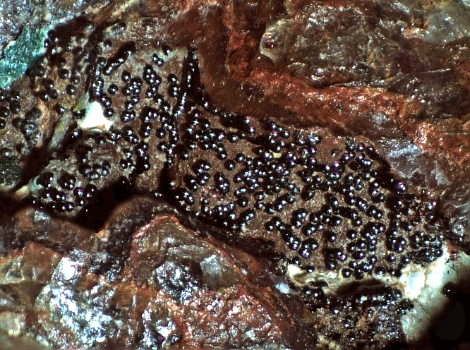 Cerbat Mountains, Mohave County, Arizona, USA