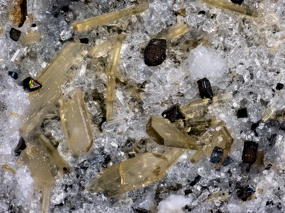 Harter Mountain, Linn County, Oregon, USA