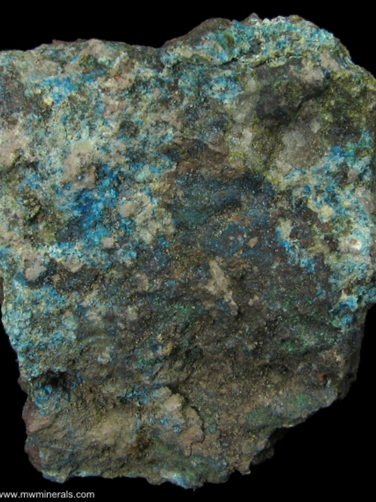 © Chinellato Matteo