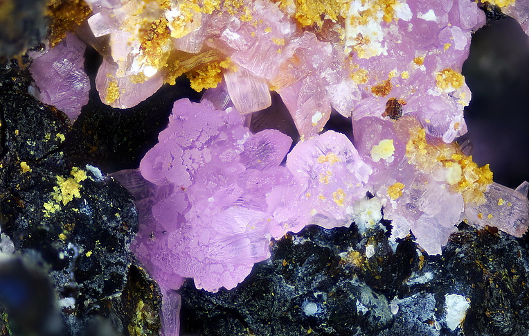 Cobalt-bearing Smithsonite: Mineral information, data and localities.