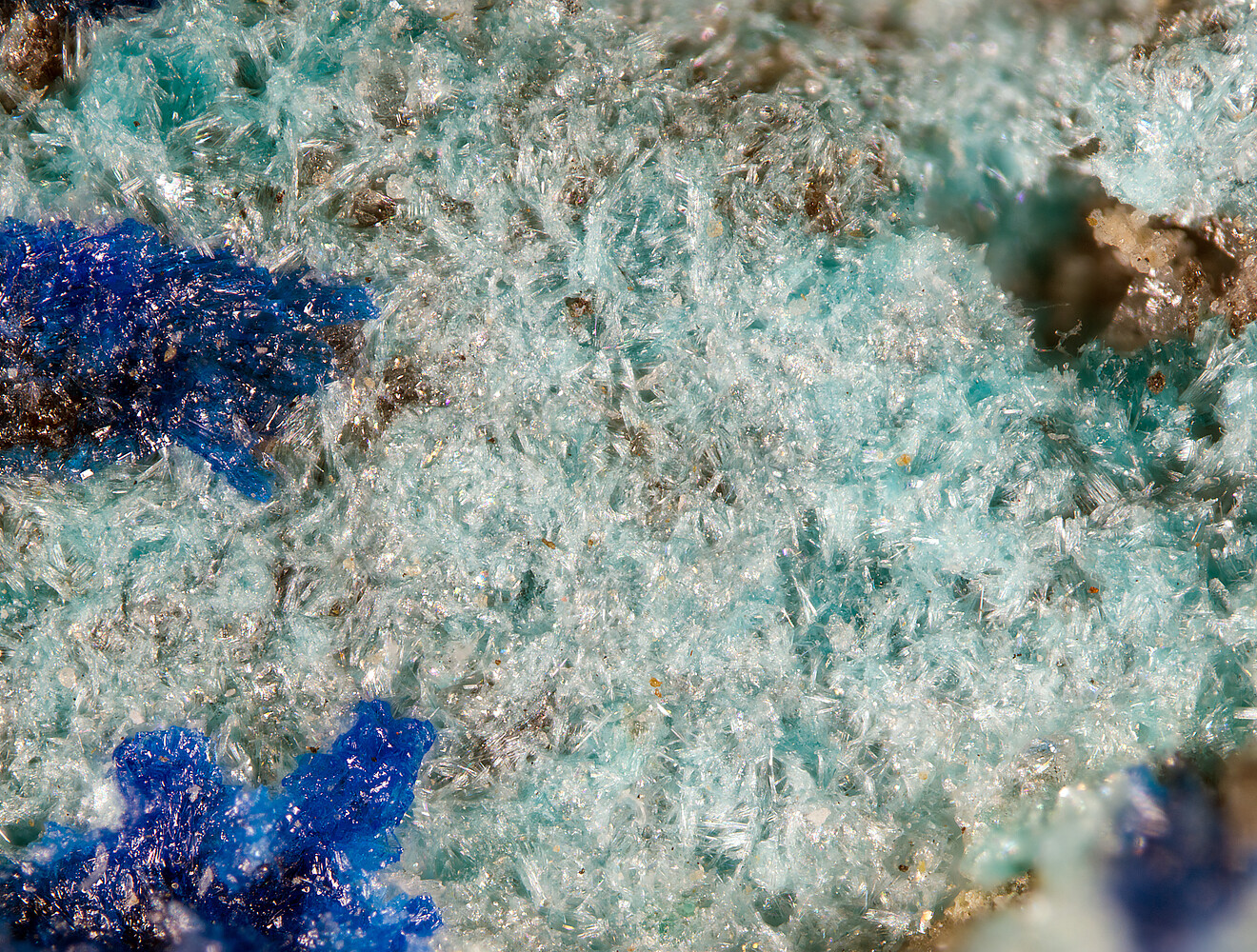 Orthoserpierite: Mineral information, data and localities.