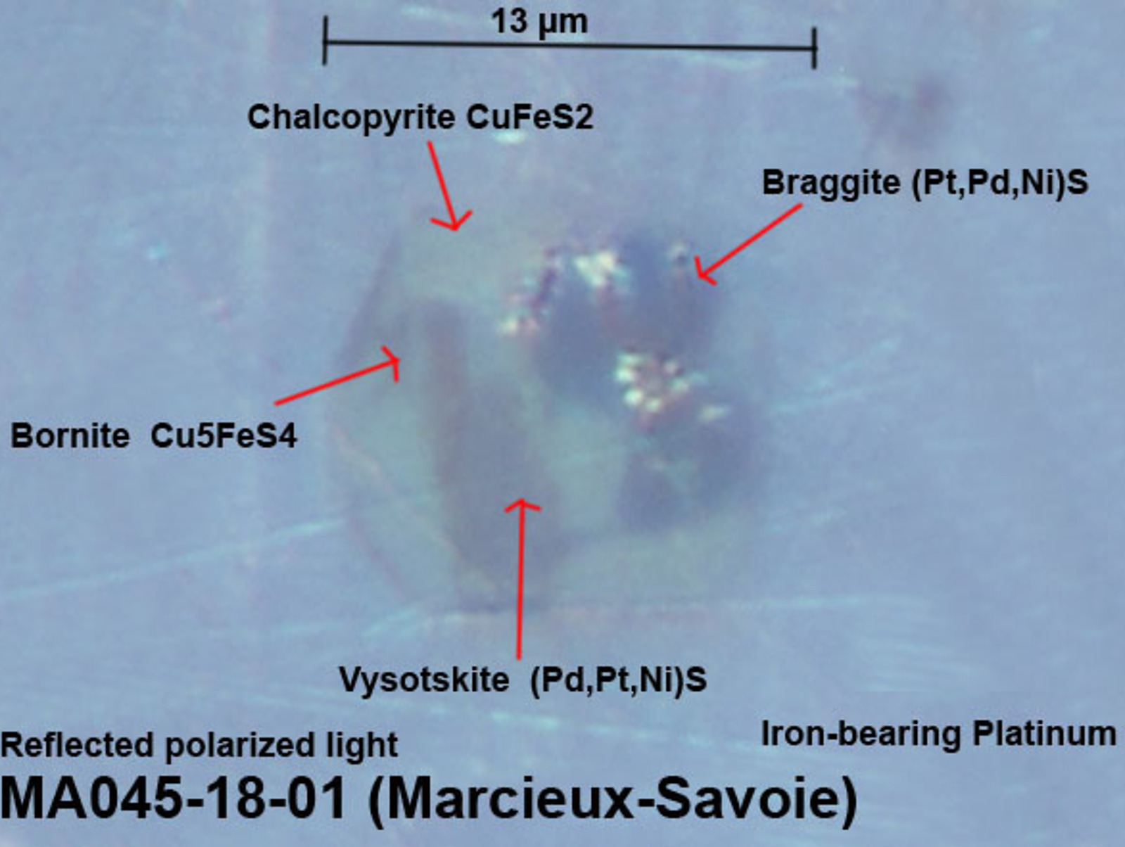 Braggite, Vysotskite, Chalcopyrite, Bornite, Iron-Platinum alloy