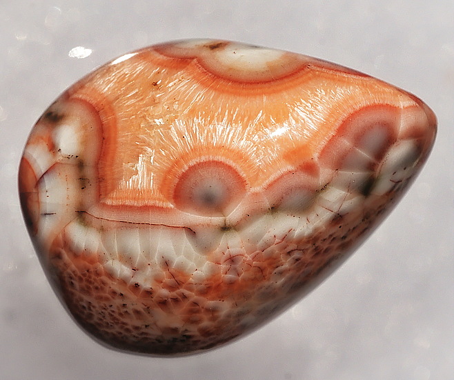 Thomsonite beach, Grand Marais, Cook County, Minnesota, USA