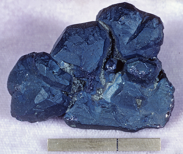 Bornite