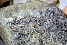 General : What is up with these bands? Found some desert rose gypsum thing