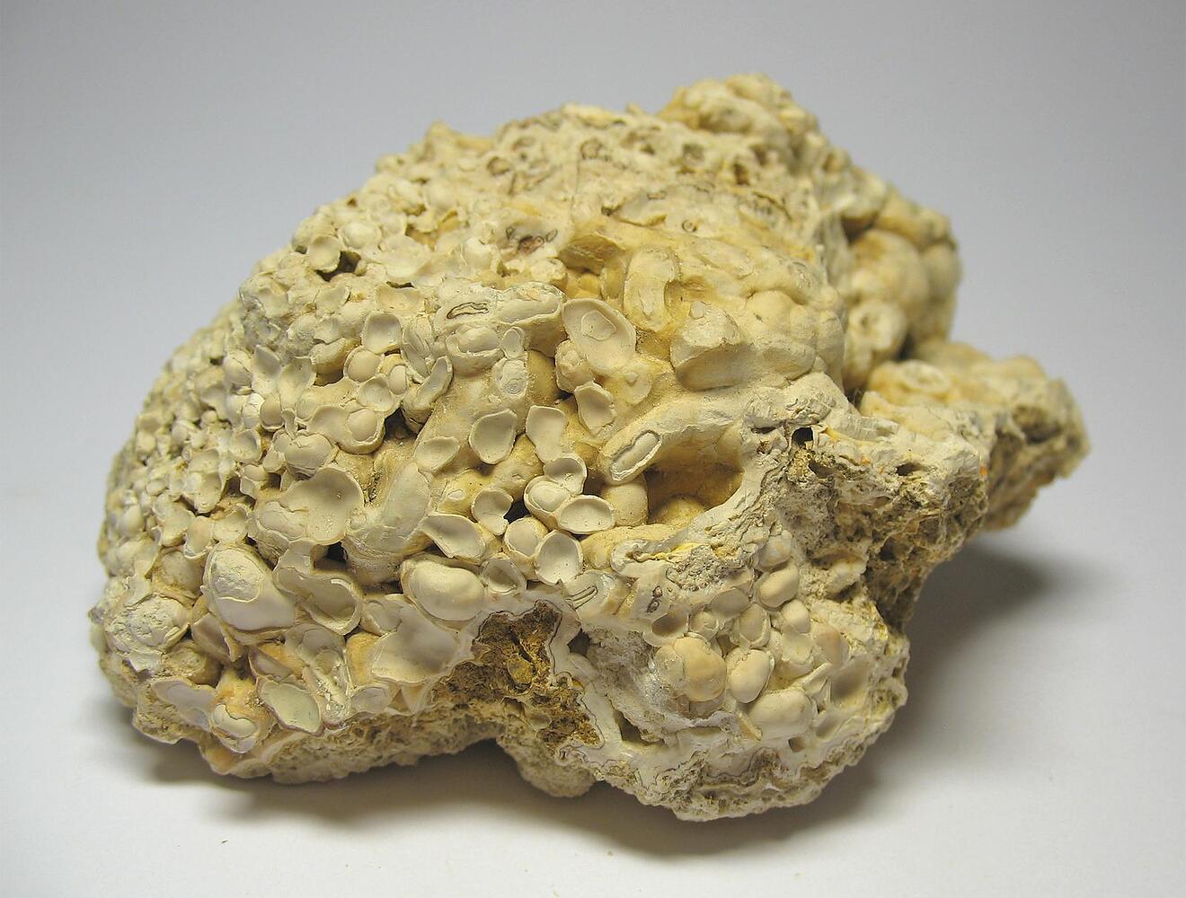 Pisolite: Mineral information, data and localities.