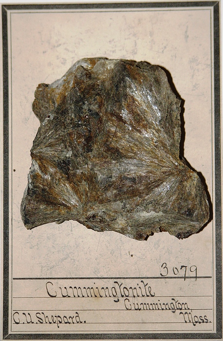 03198820017272038914052.jpg?cachekick=1