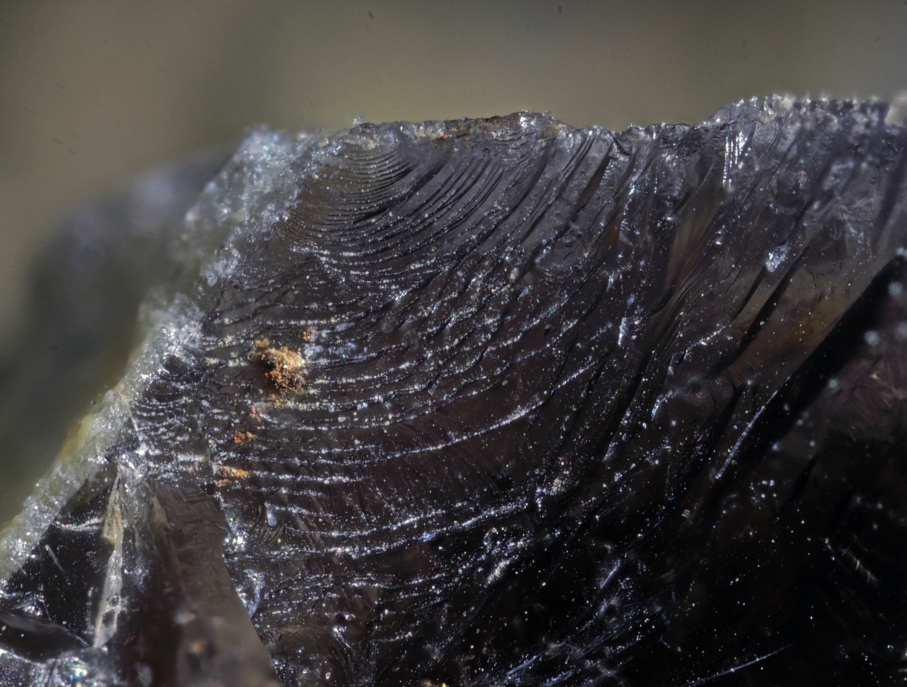 Identity Help : Government Pit, Albany, NH