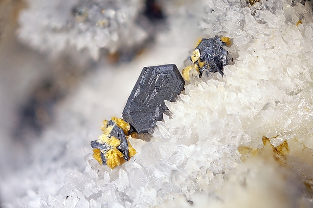 Polybasite, Siderite, Quartz