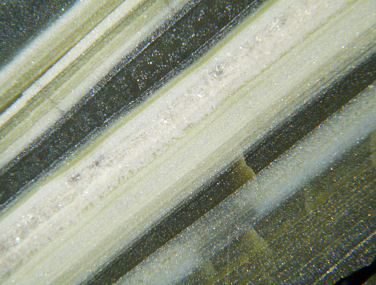 Ricolite: Mineral information, data and localities.