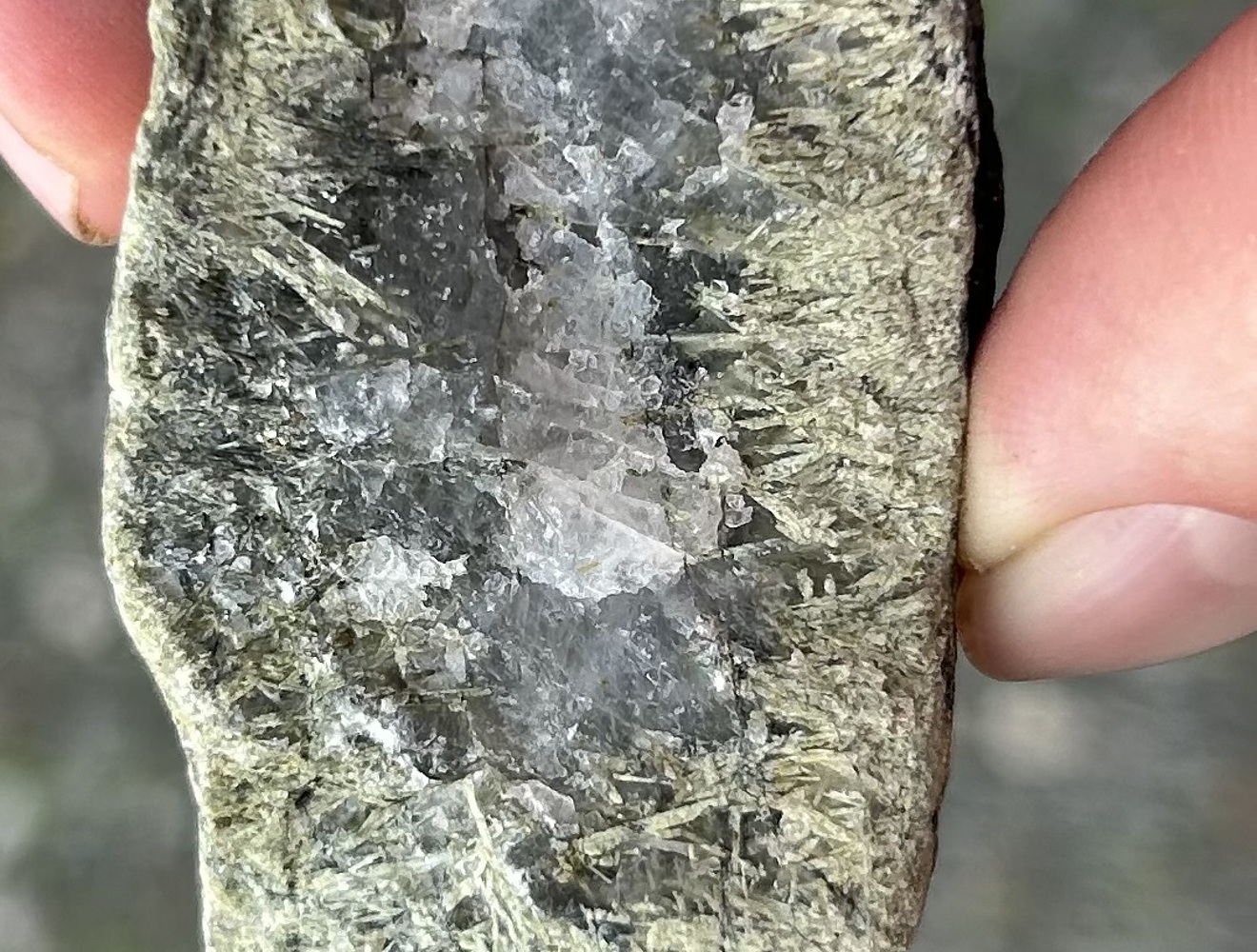 Identity Help : Found along train tracks in Western NY, USA