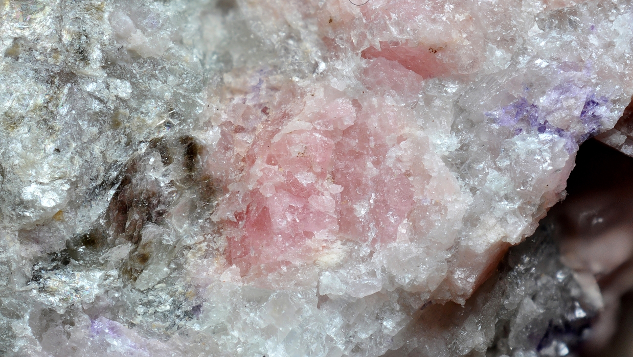 Birch Creek, White Mountains, Inyo County, California, USA