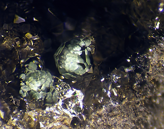 Te Henga Road quarry, Waitakere Ranges, Auckland Region, New Zealand