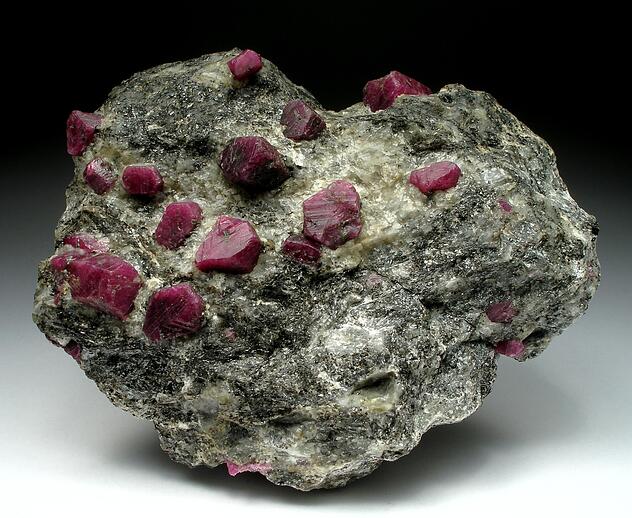 Mysore District, Karnataka, India