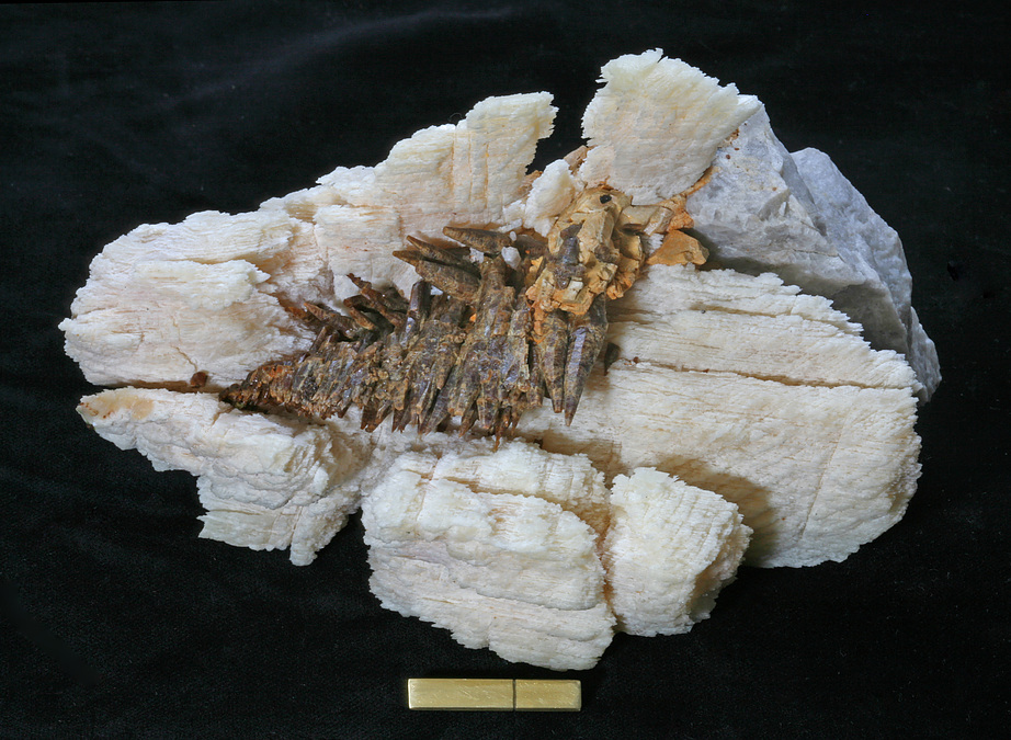 Snowbird Mine, Cedar Creek Mining District, Mineral County, Montana, USA