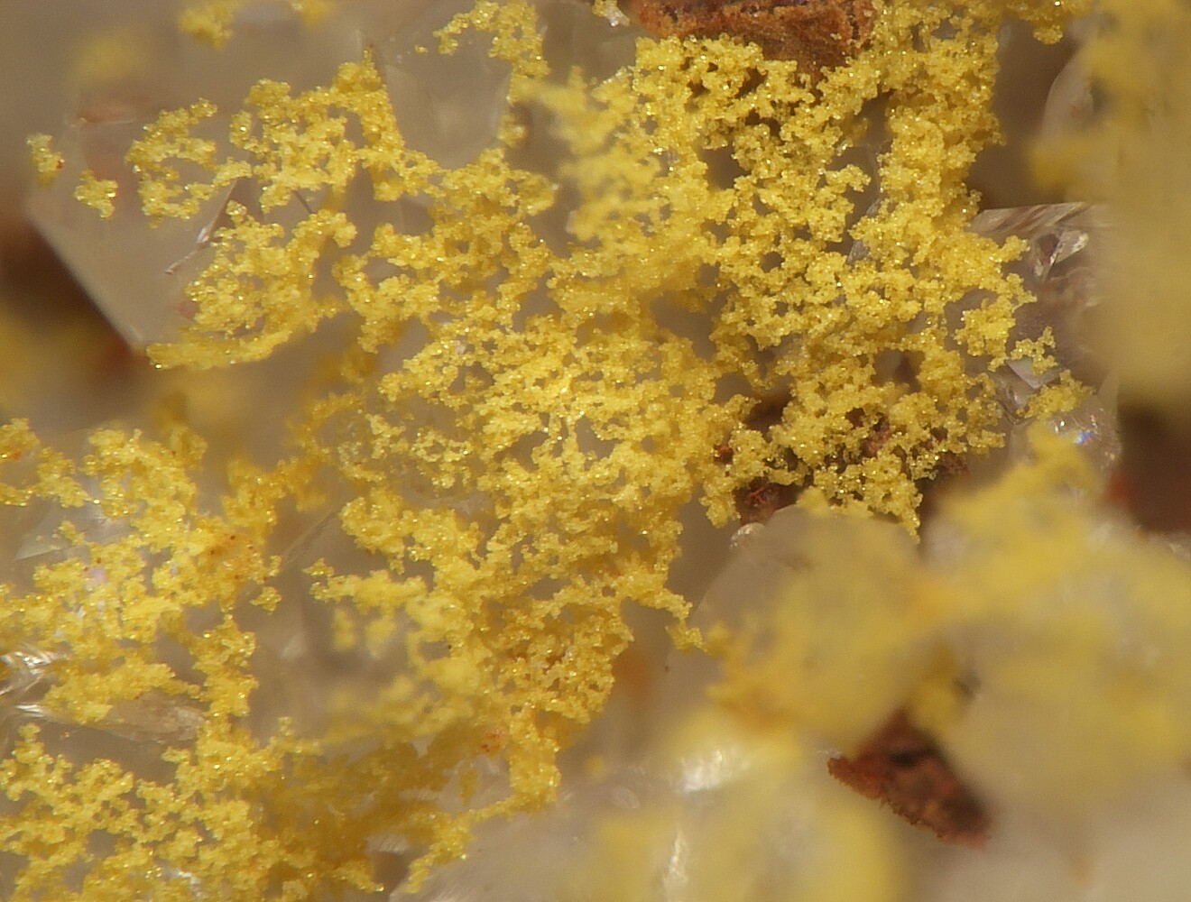 Cerianite-(Ce): Mineral information, data and localities.