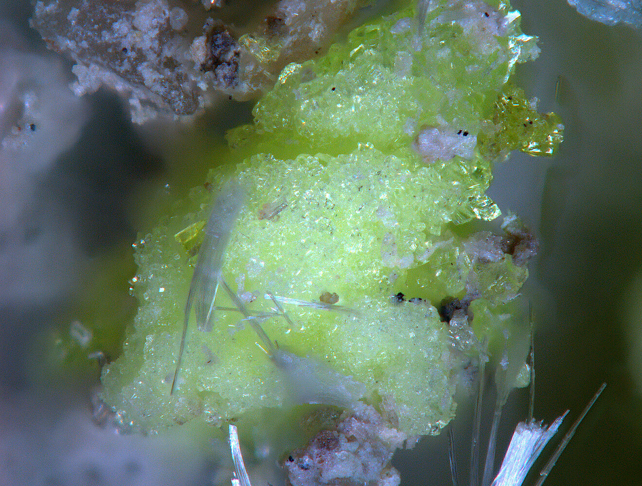 Strassmannite: Mineral information, data and localities.