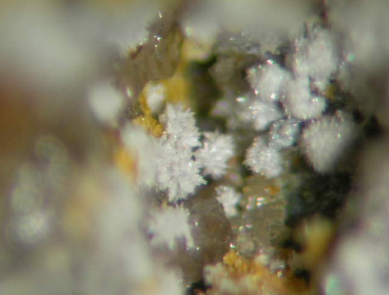 Ottoite: Mineral information, data and localities.