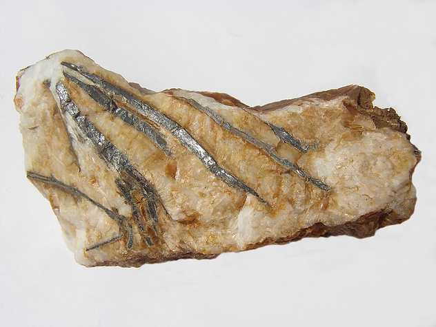 Bismuthinite: Mineral information, data and localities.