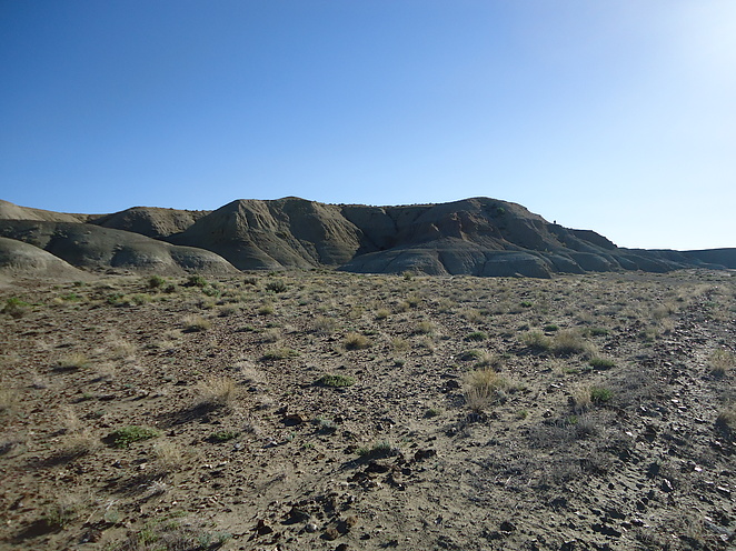 Blue Forest, Eden Valley, Sweetwater County, Wyoming, USA