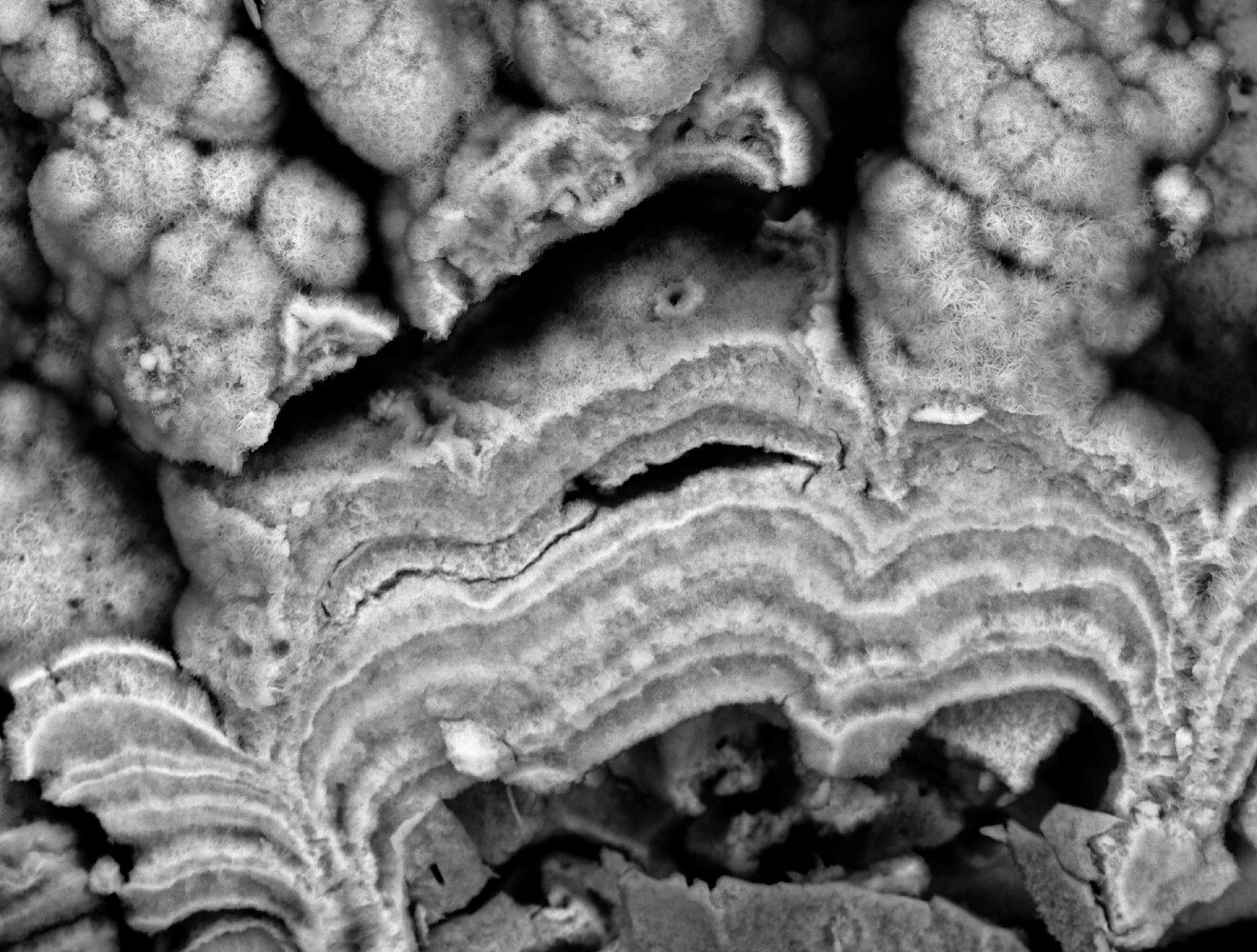 Buserite: Mineral information, data and localities.