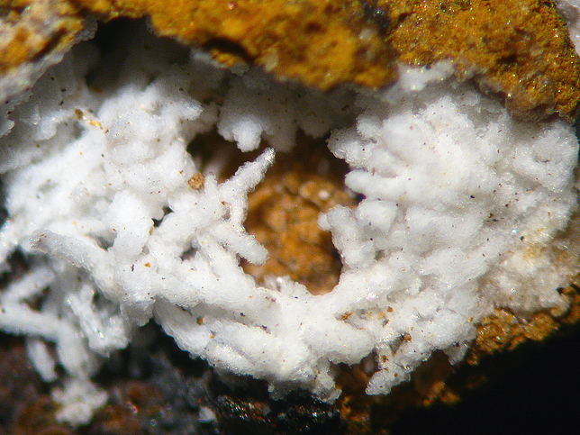 Angastonite: Mineral information, data and localities.