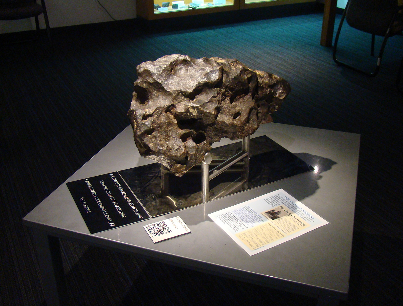 Steve Hardinger - The University of California, Los Angeles (UCLA ...